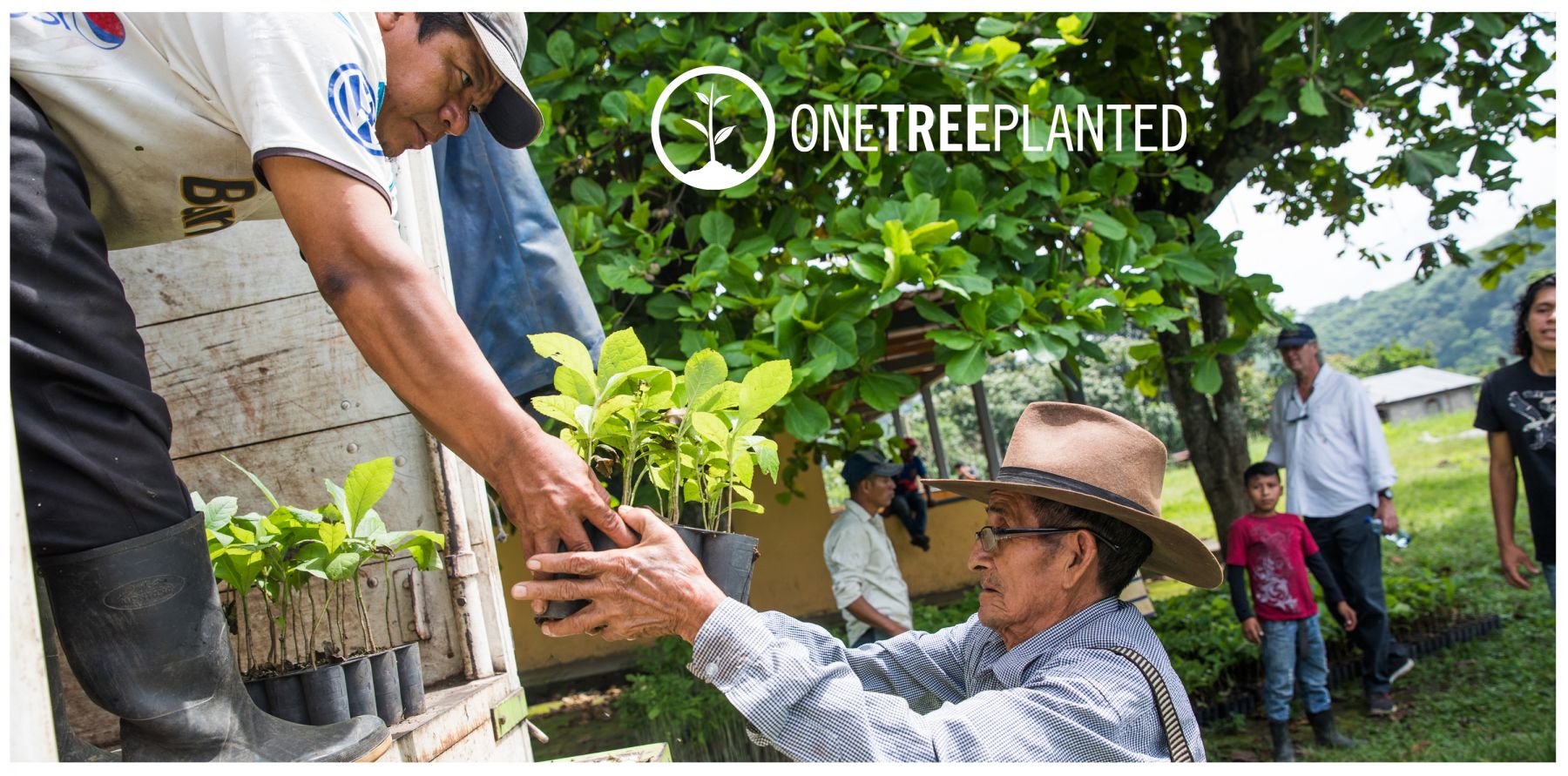 ONE TREE PLANTED | Onjenu